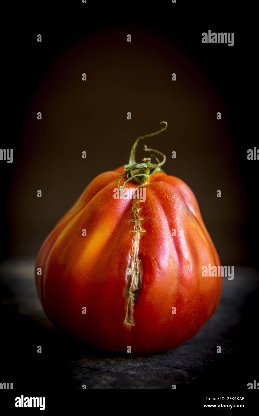 Damaged red tomato isolated on a black background Stock Photo - Alamy