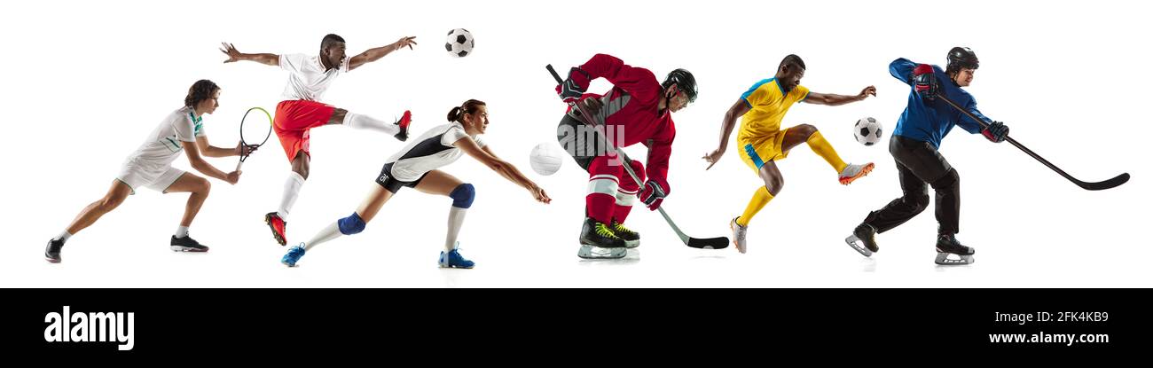 Collage of different professional sportsmen, fit people in action and ...