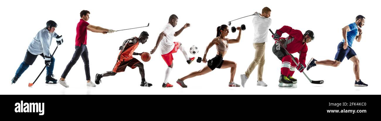 Collage of different professional sportsmen, fit people in action and ...