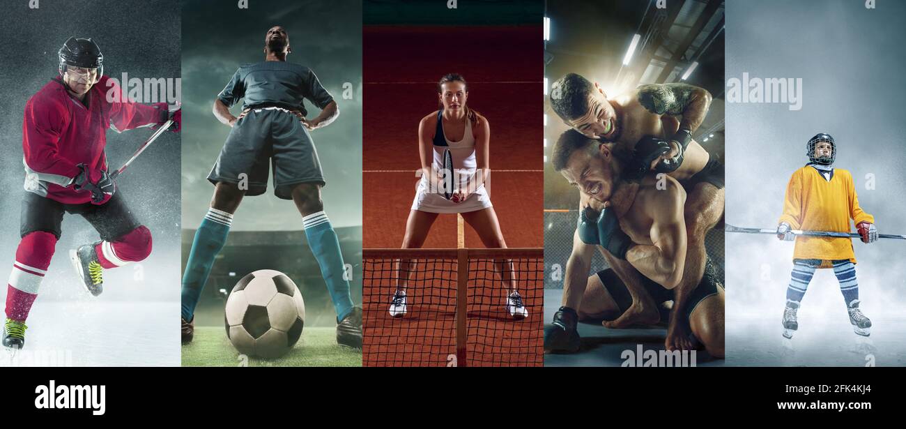 Collage of different professional sportsmen, fit people in action and ...