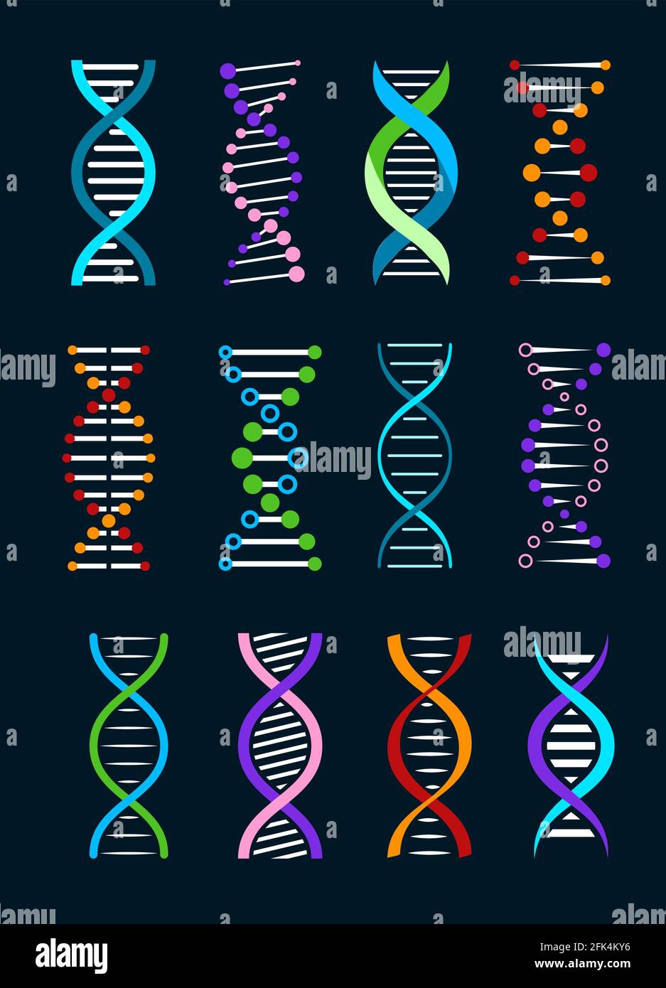 Dna Helix Vector