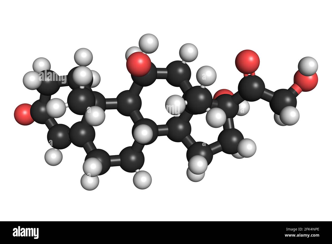 Steroid Chemical Structure