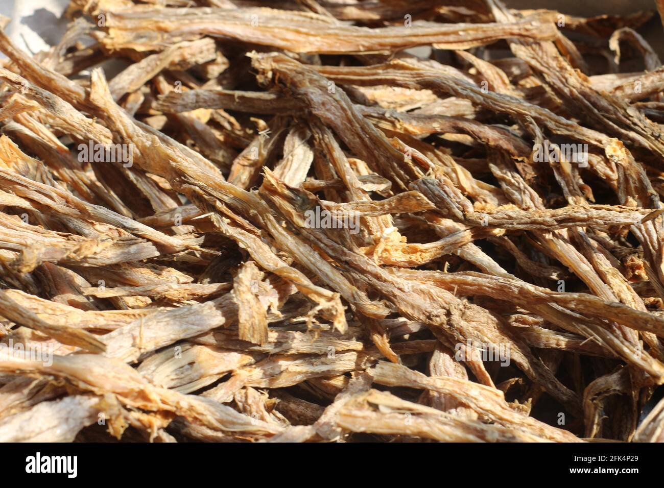 The organic sea dry fish Stock Photo - Alamy