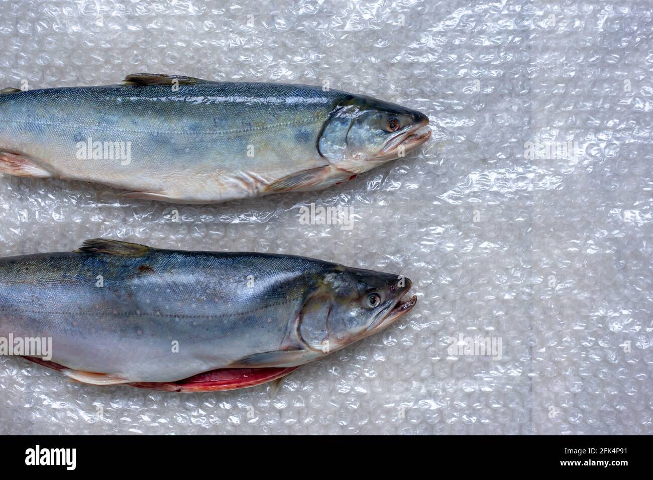 Two dead fish on plastic wrap. A fish dish Stock Photo - Alamy