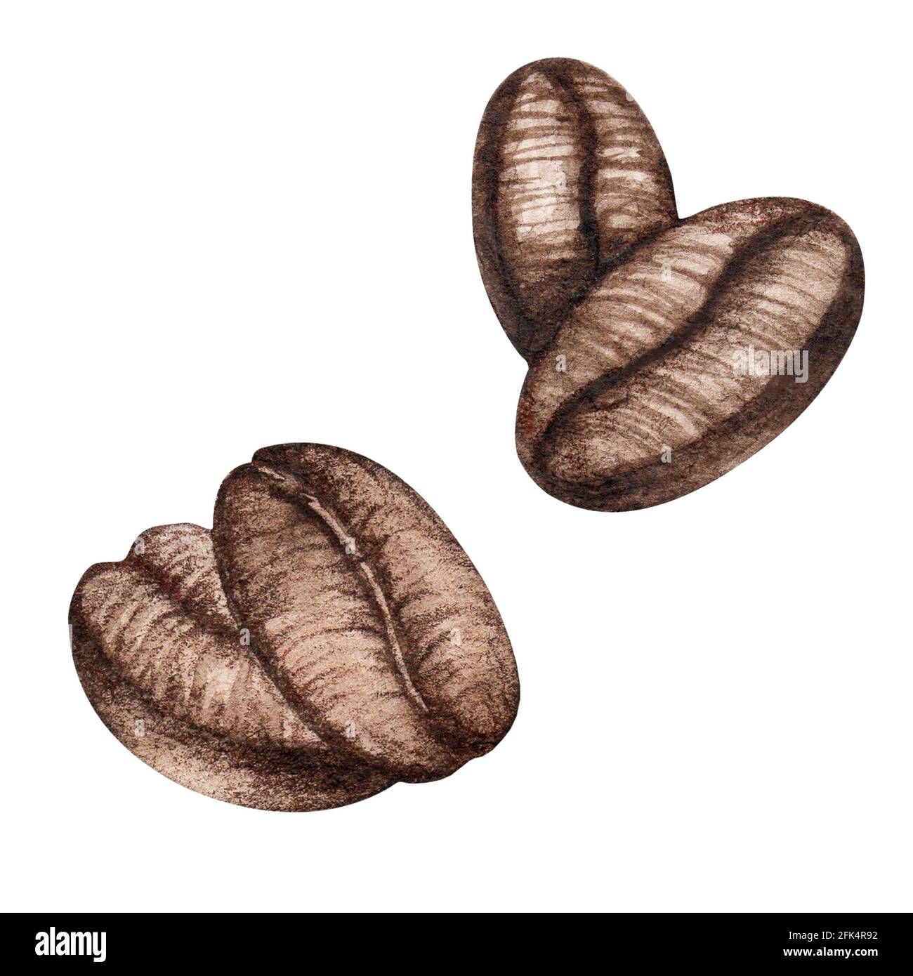 Watercolor hand drawn roasted brown coffee beans illustration isolated ...