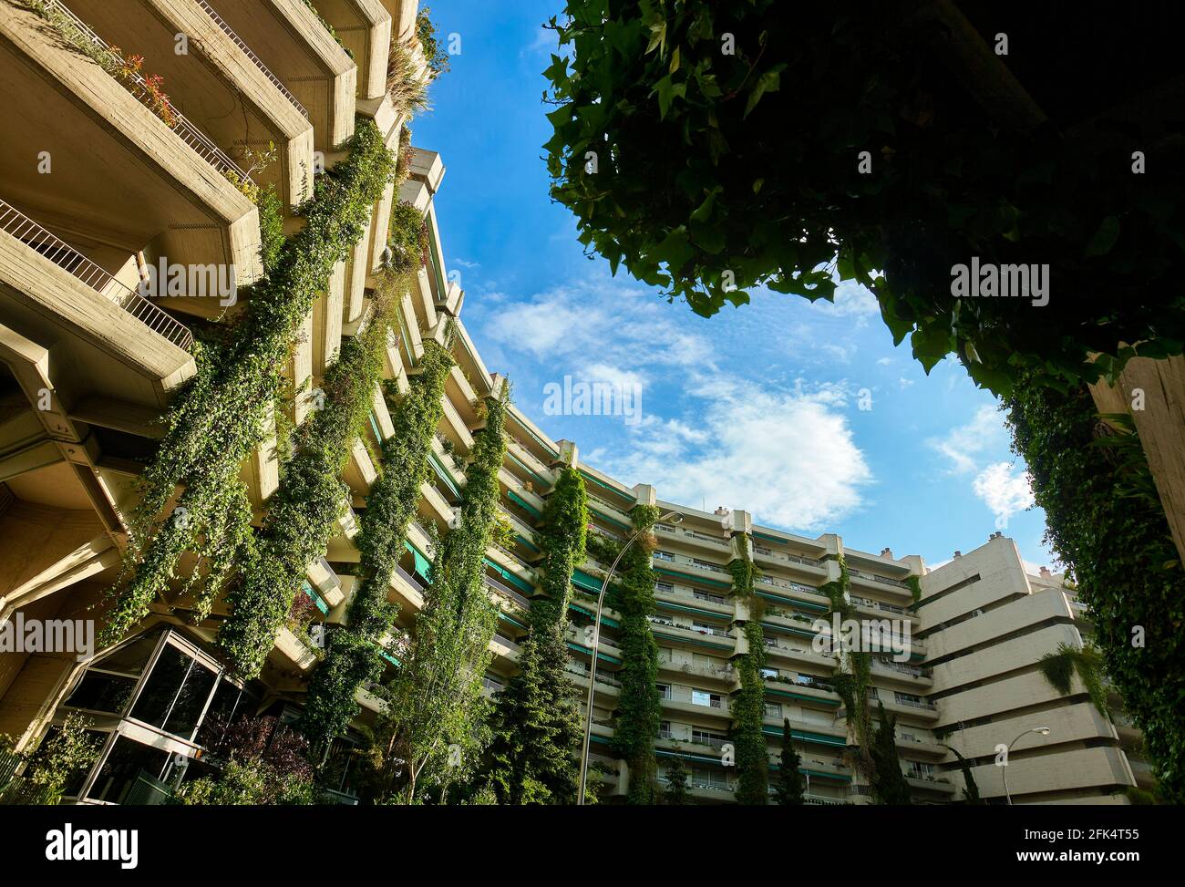 Edificio oasis hi-res stock photography and images - Alamy