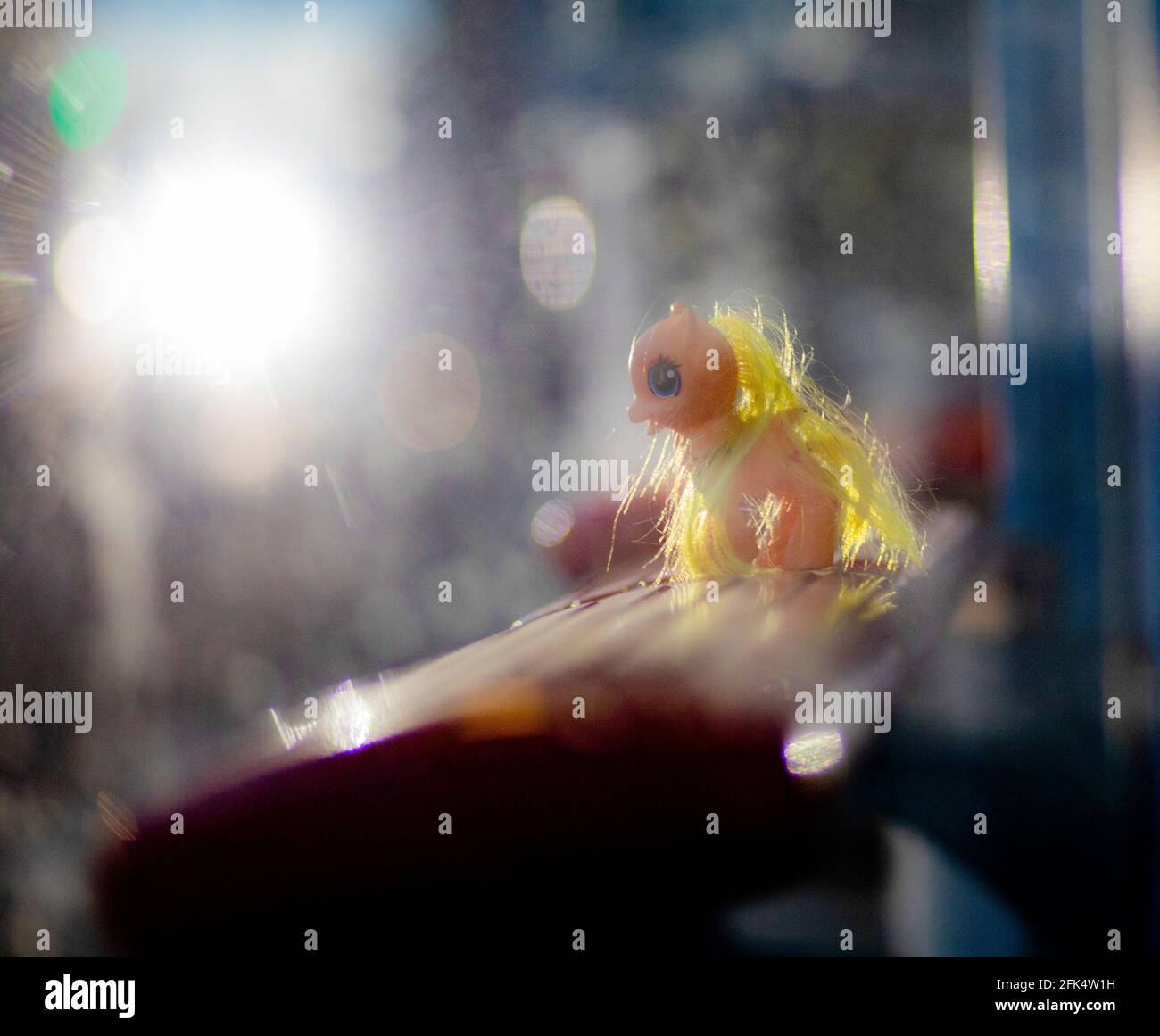 My Little Pony toy left at bus stop picture by Gavin Rodgers/ Pixel8000 ...