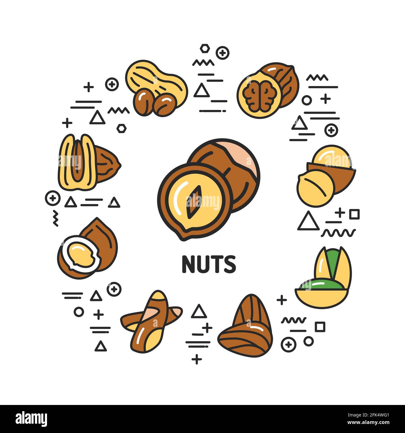 Nuts web banner. Infographics with linear icons on white background ...