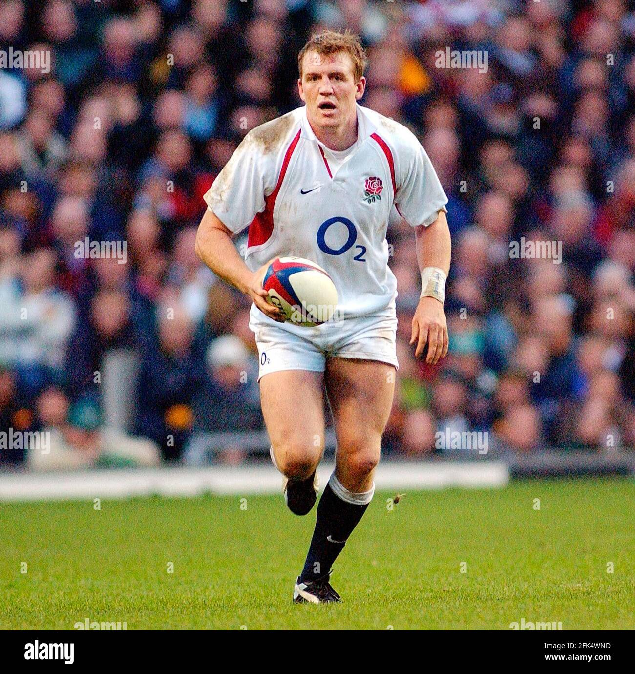 ENGLAND V SOUTH AFRICA 23/11/2002 MIKE TINDALL PICTURE DAVID ...