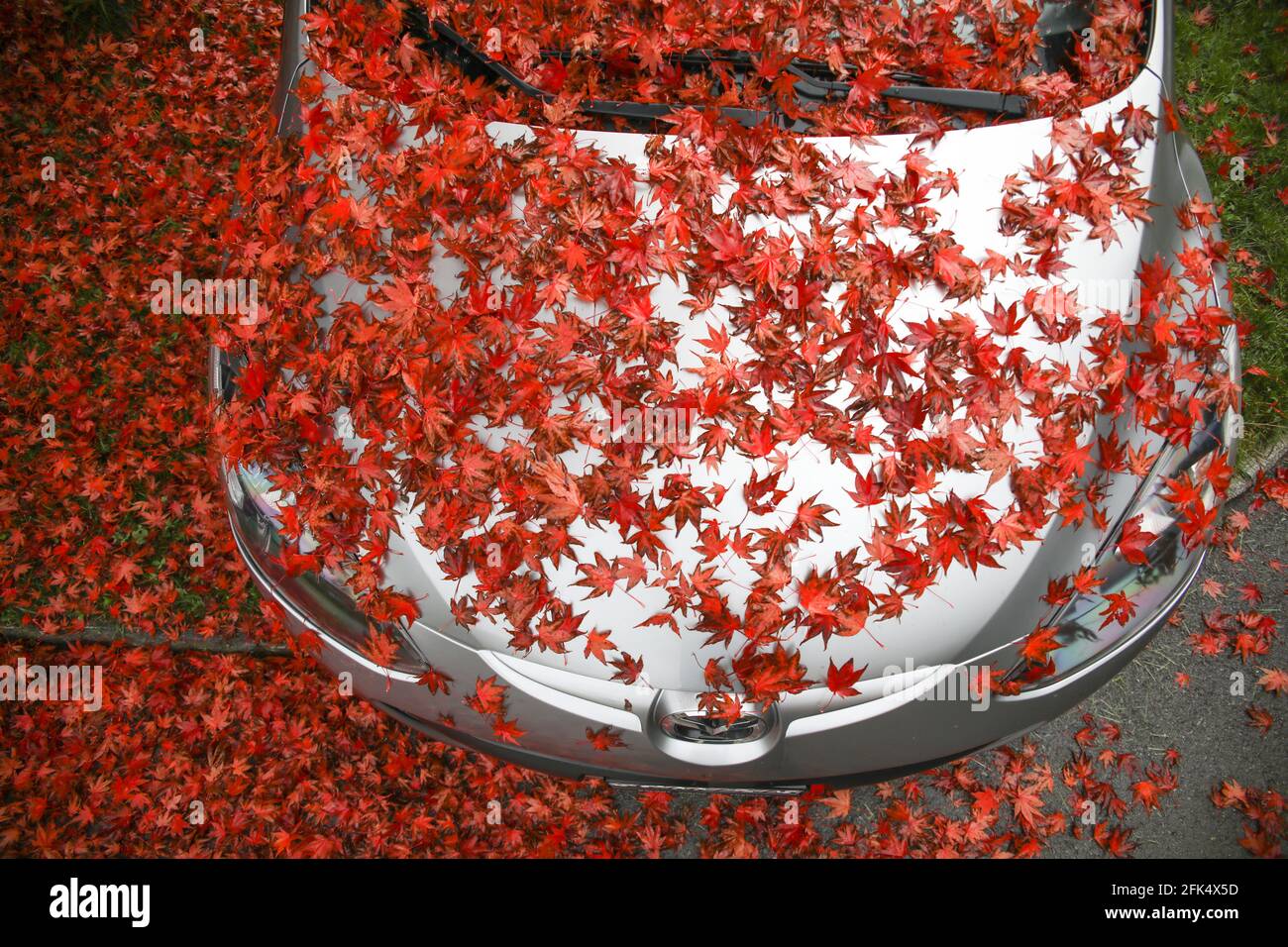 Auto rot hi-res stock photography and images - Alamy