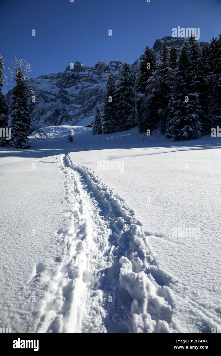 Schneeschuhspuren hi-res stock photography and images - Alamy