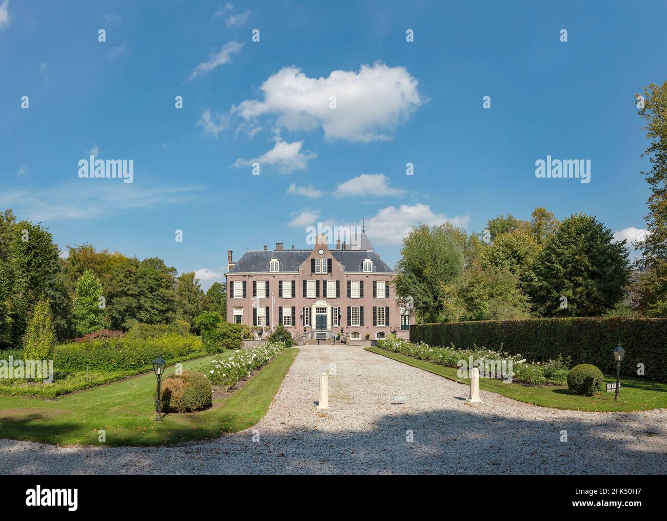 Groot hoenlo hi-res stock photography and images - Alamy