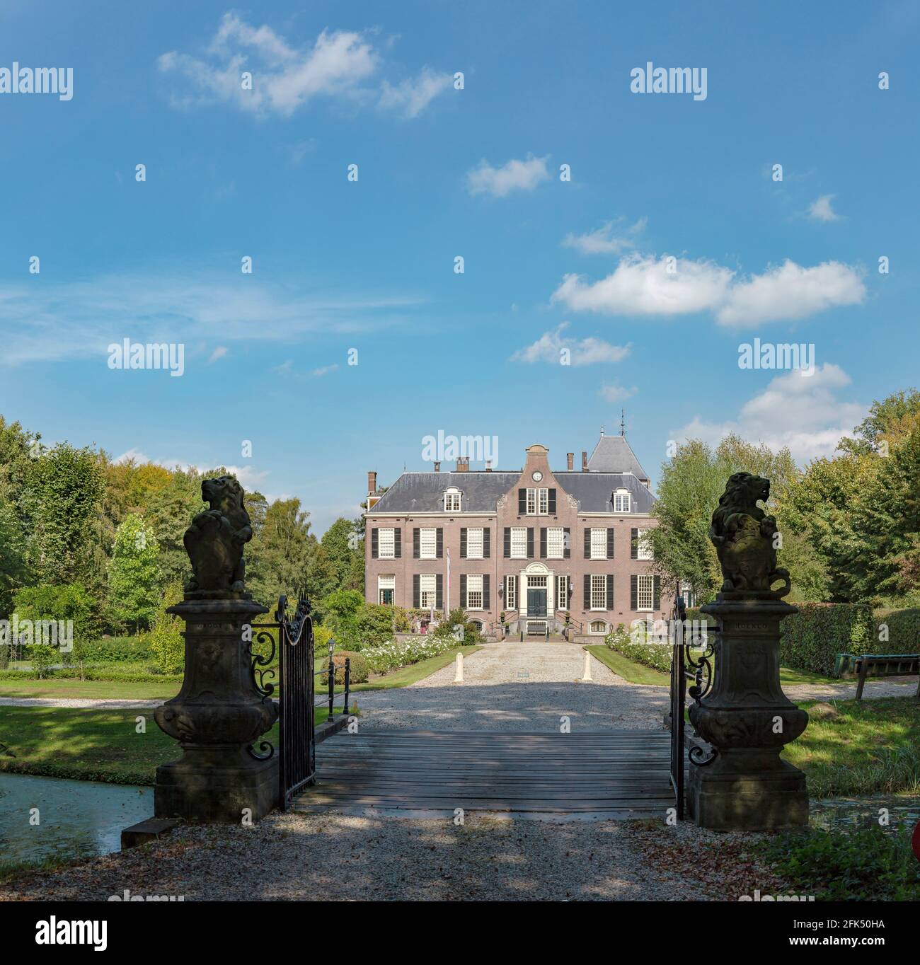 Groot hoenlo hi-res stock photography and images - Alamy
