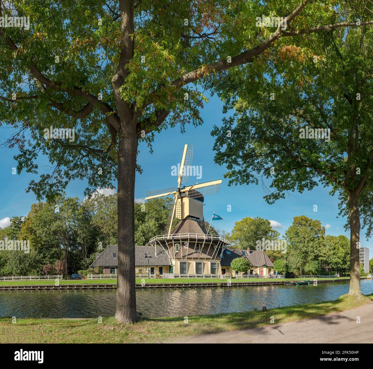 Haantje hi-res stock photography and images - Alamy