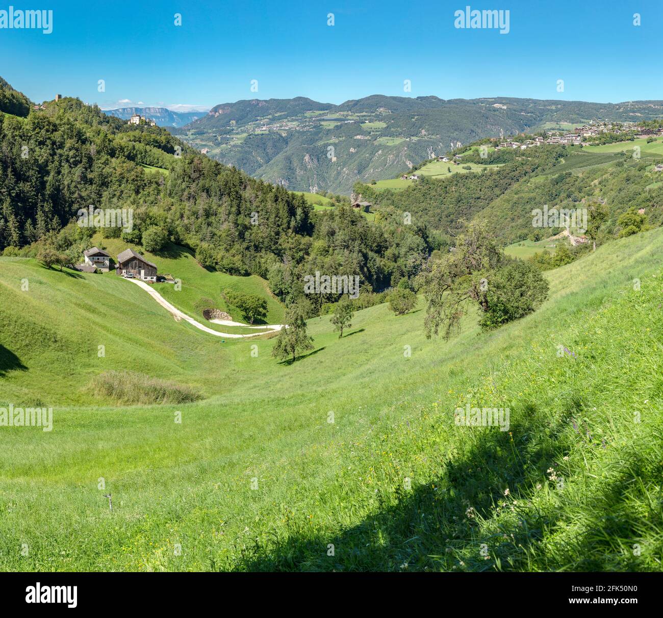 lush green alpine meadows *** Local Caption *** Völs am Schlern - Fiè ...
