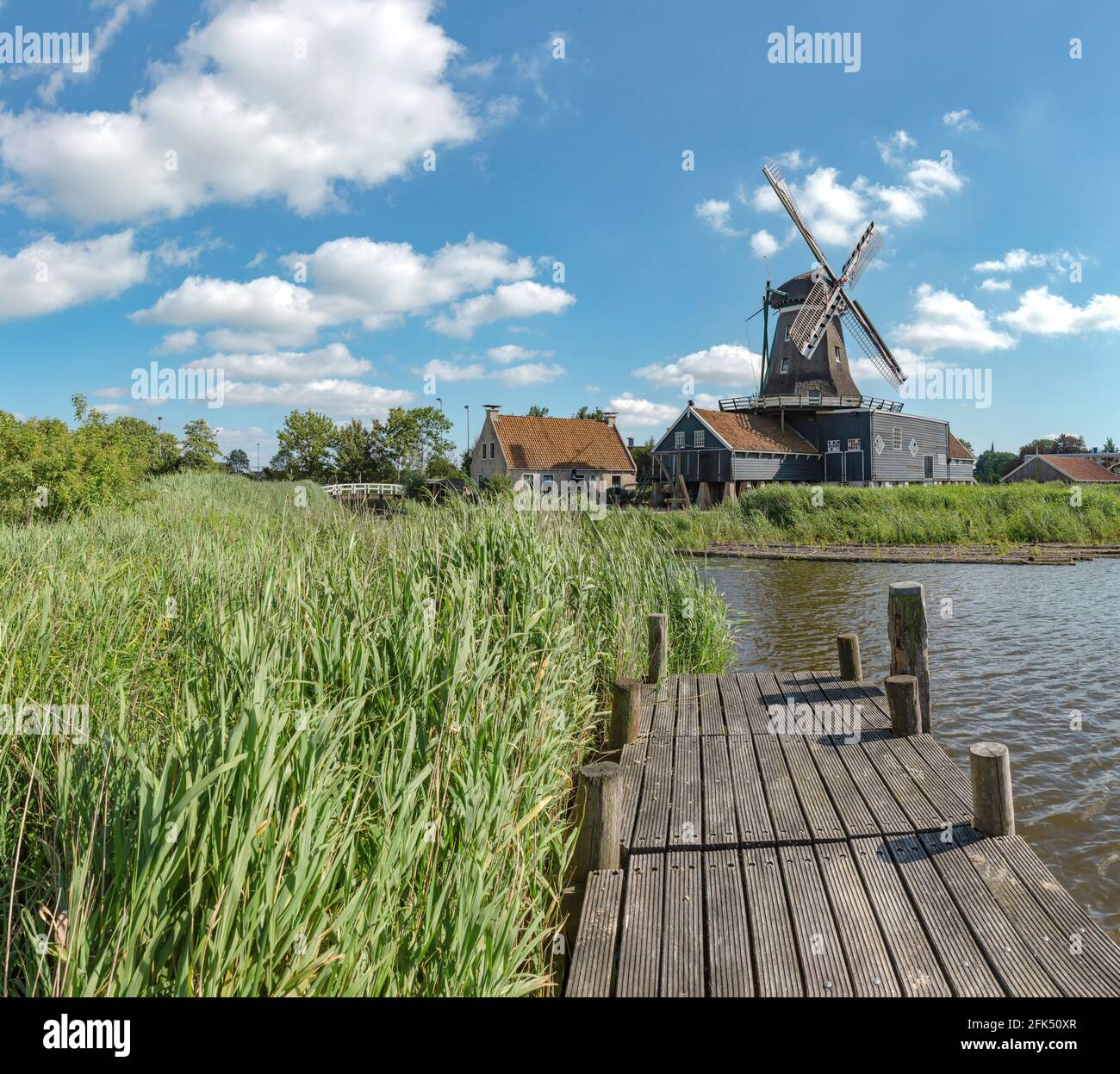 Fringe of reeds hi-res stock photography and images - Alamy