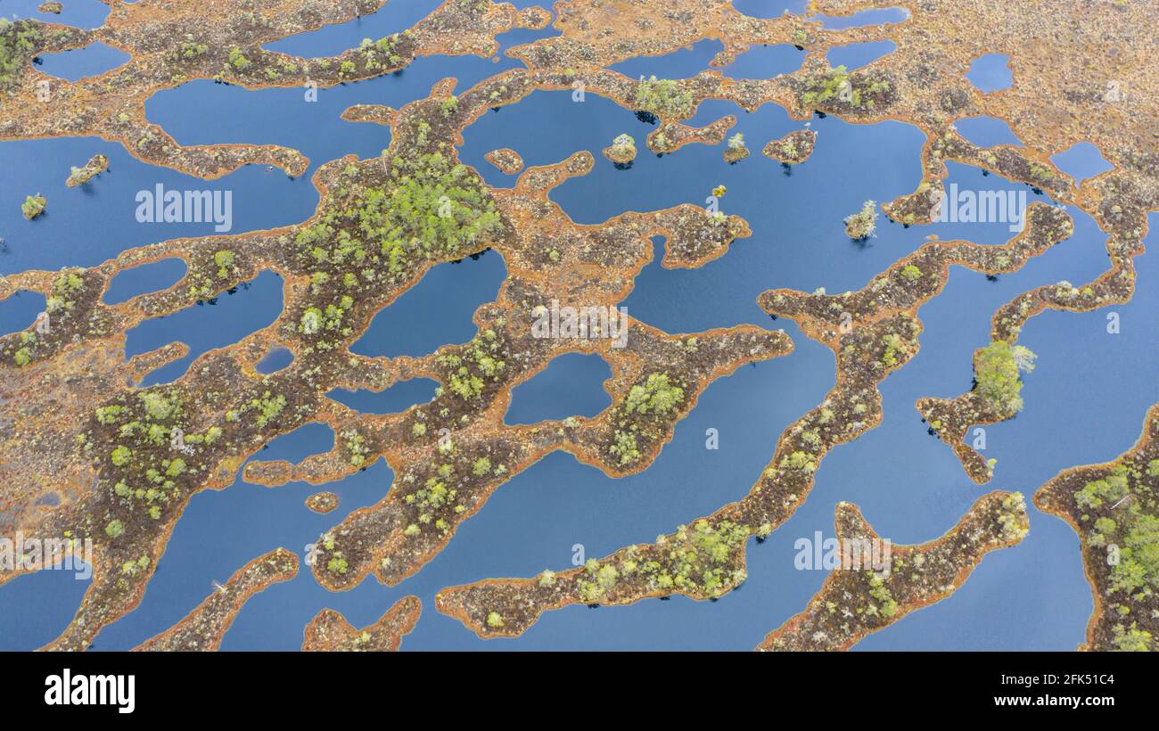 Amazing aerail wetland pattern Stock Photo - Alamy