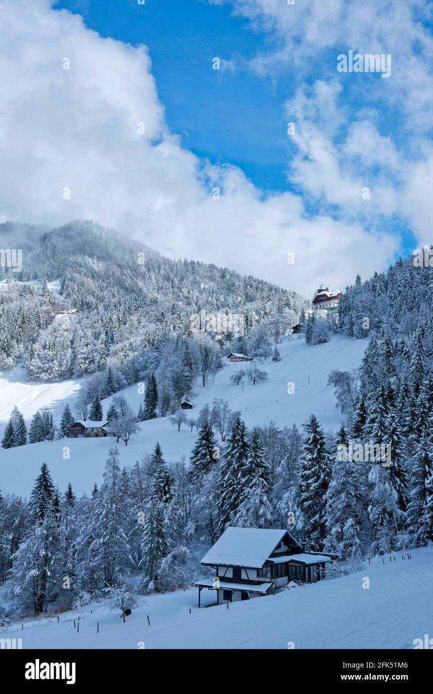 Switzerland, Vaud, Waadt, hiver, winter, neige, Schnee, snow, Souloup ...