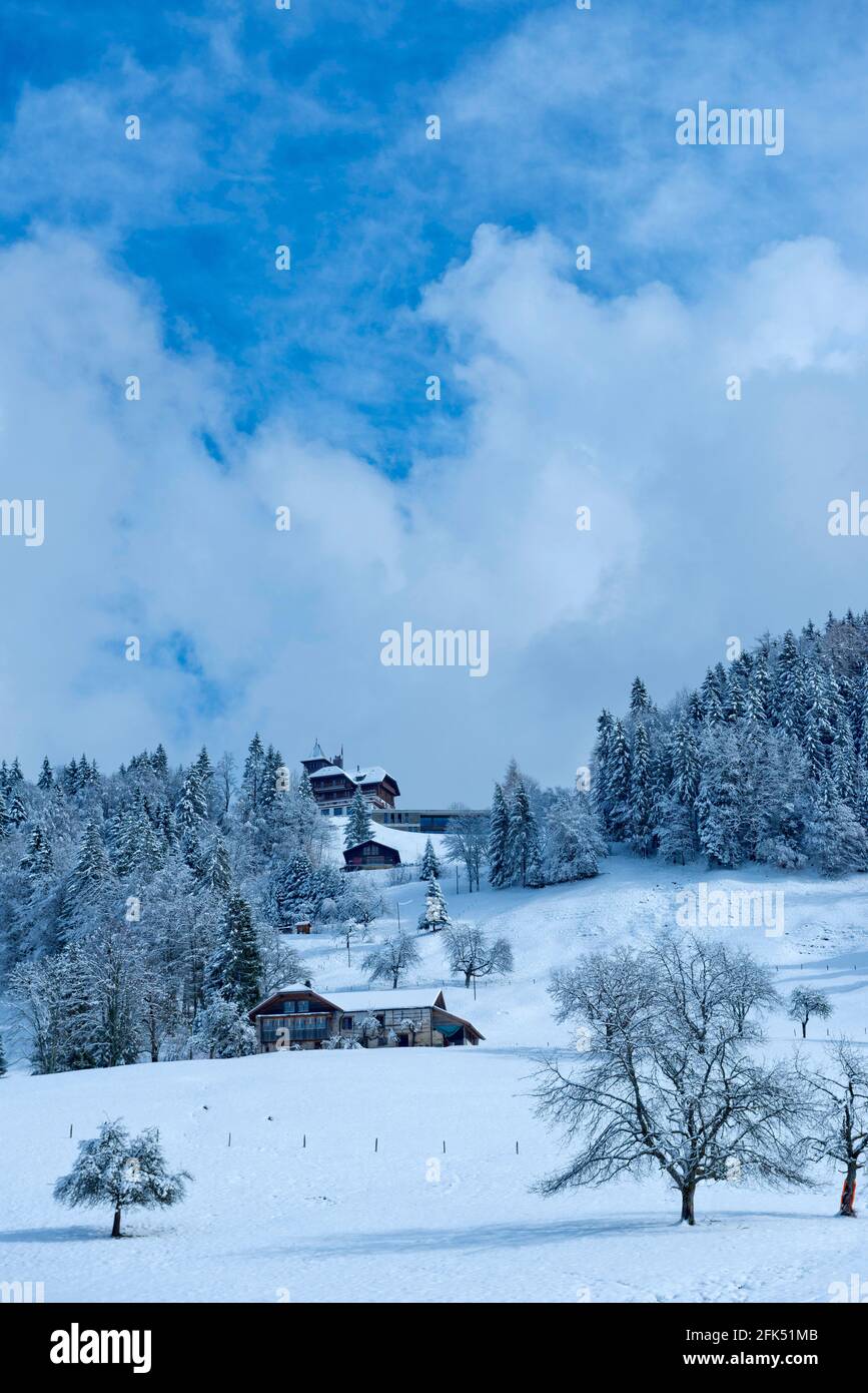 Switzerland, Vaud, Waadt, hiver, winter, neige, Schnee, snow, Souloup ...