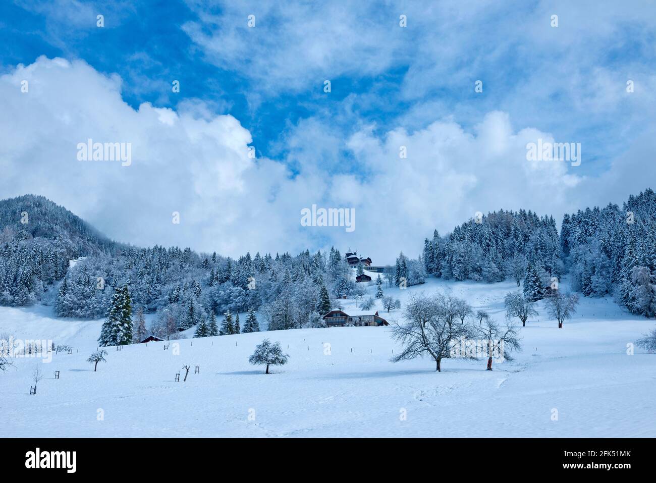 Switzerland, Vaud, Waadt, hiver, winter, neige, Schnee, snow, Souloup ...