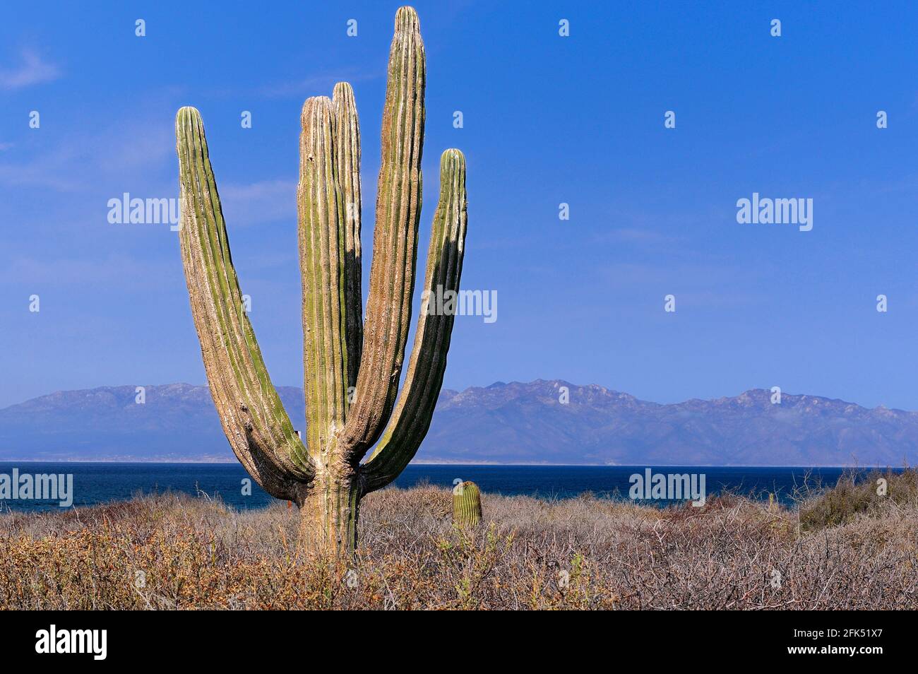 Isla Cerralvo, La Ventana Bay, Sea of Cortez, El Sargento, near La Paz ...