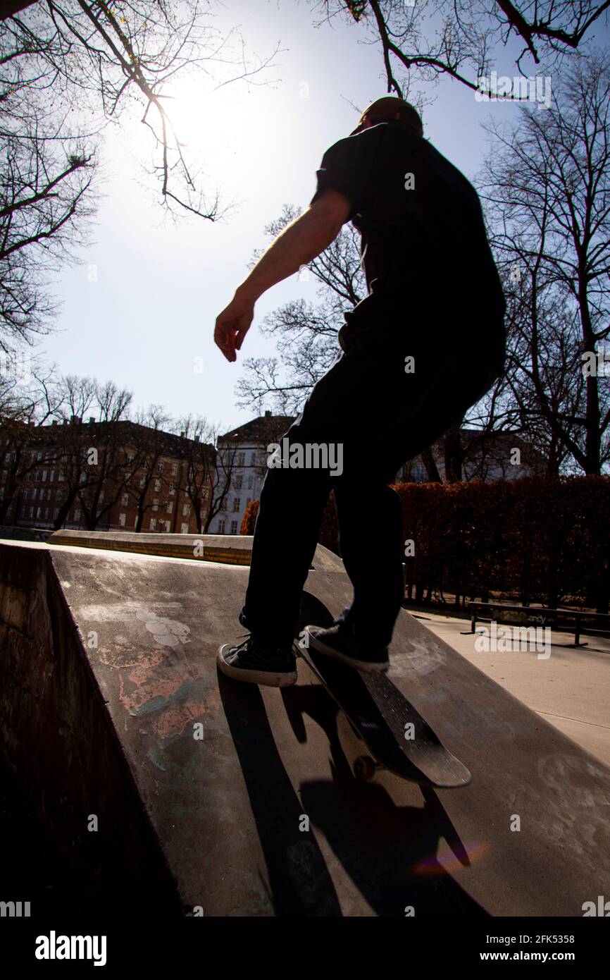 Skater in action on ramp seen from behind in backlit silhouette Stock ...