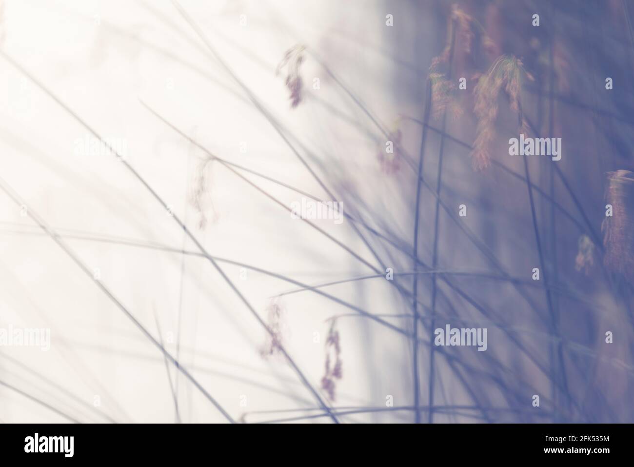 Creative natural background, with movement: long exposure of aquatic ...