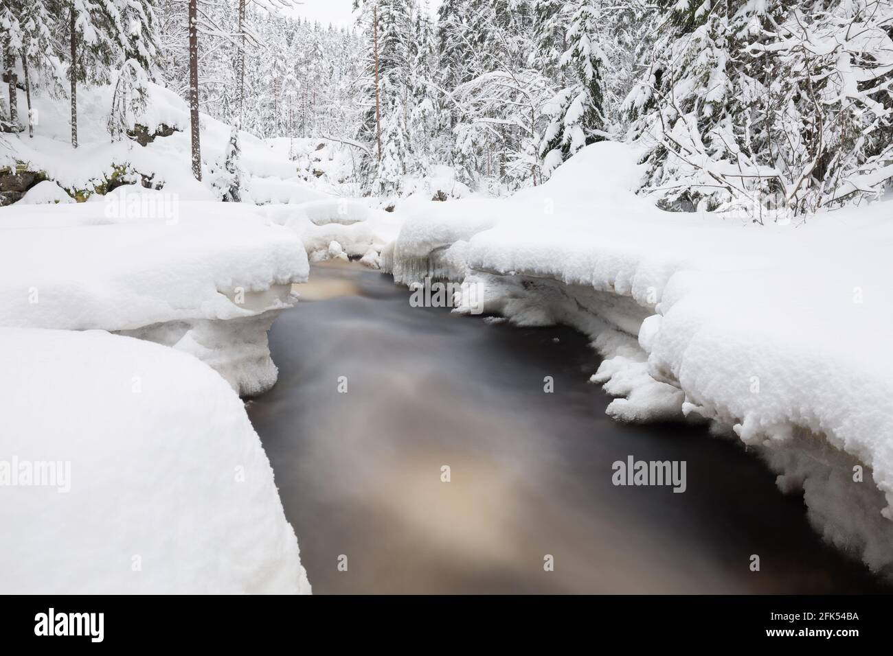 Frozen river in snowy forest hi-res stock photography and images - Alamy