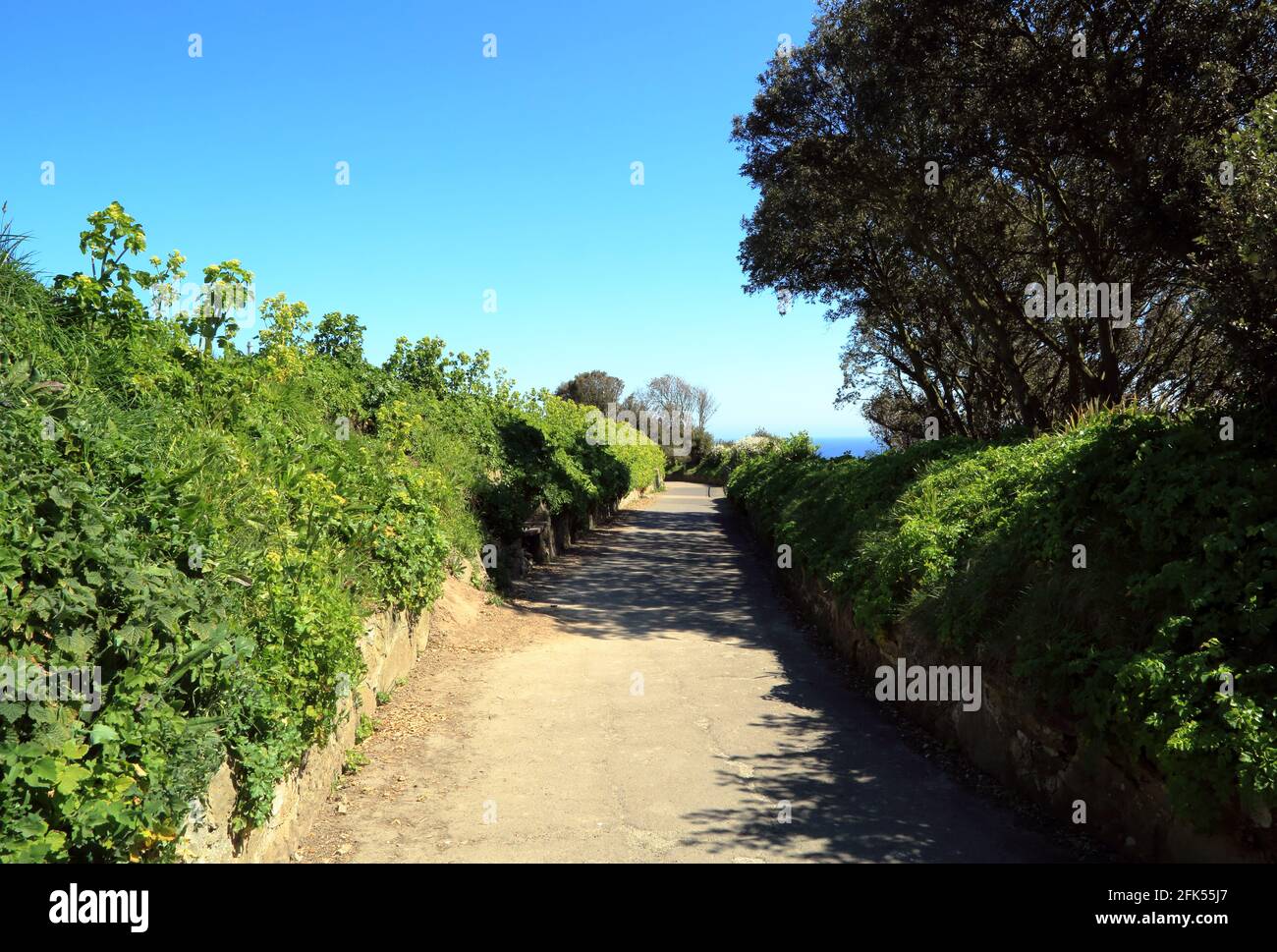 Cliffside footpath hi-res stock photography and images - Alamy