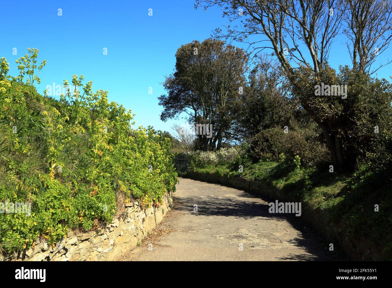 Cliffside footpath hi-res stock photography and images - Alamy