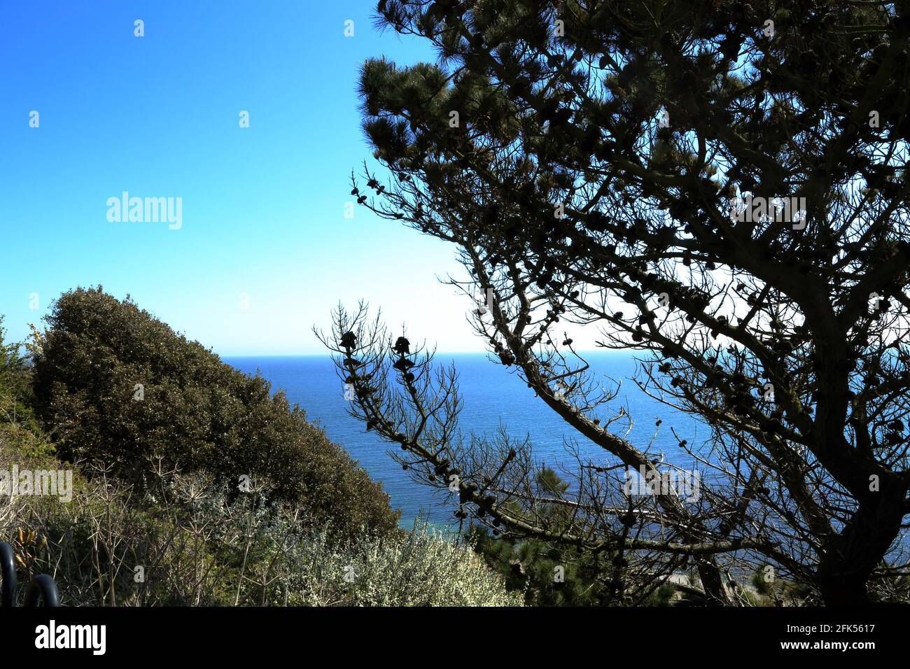 View through trees from the West Cliff out over The English Channel ...