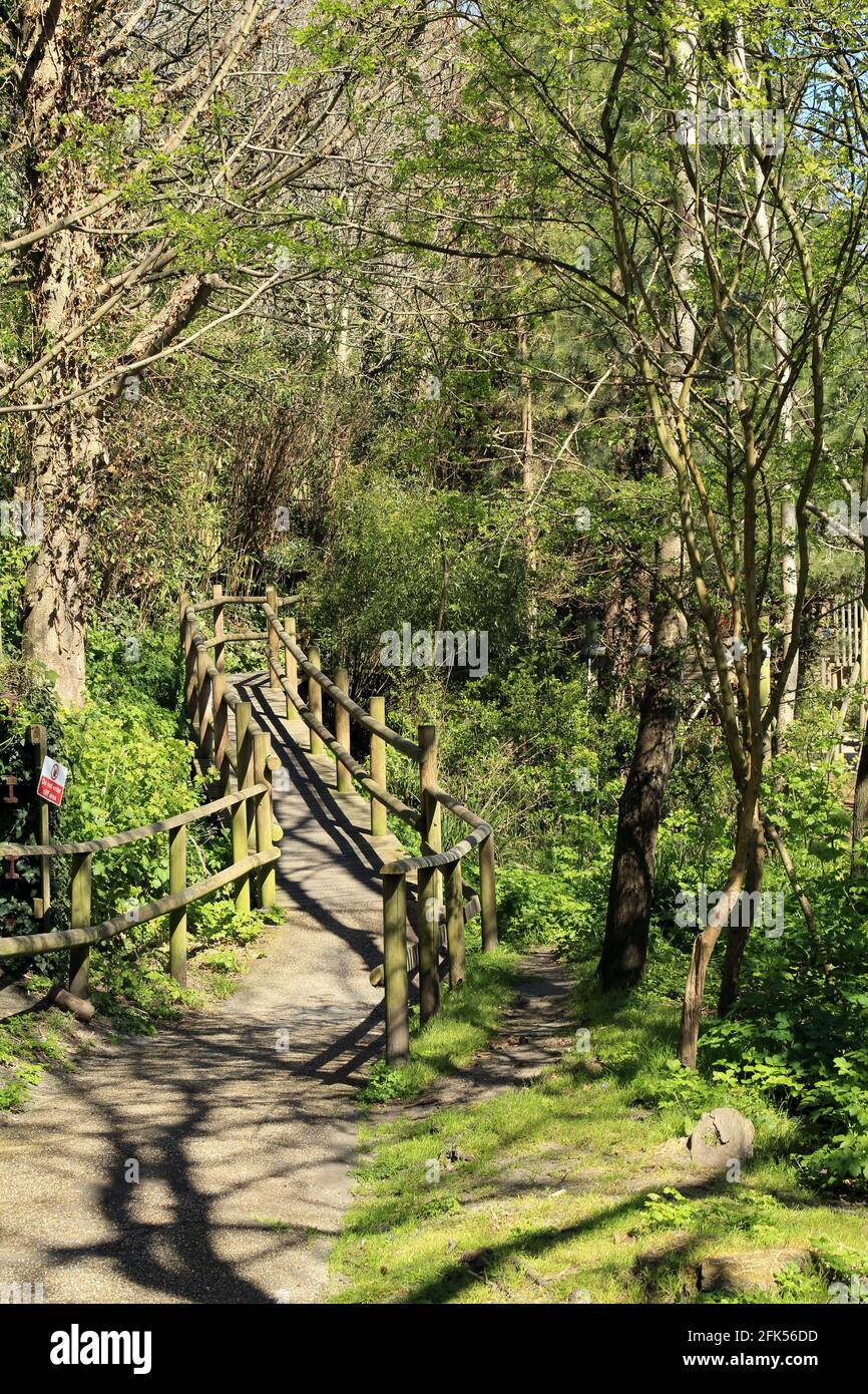 Footpath on Lower Lees Coastal Park, Folkestone, Kent, England, United ...