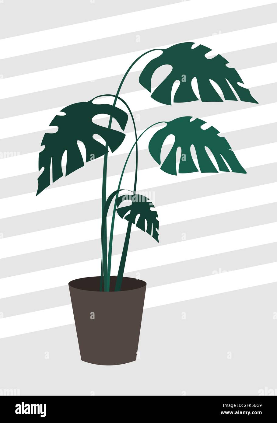 Monstera in a pot on floor. Tropical plant for interior. Vector ...