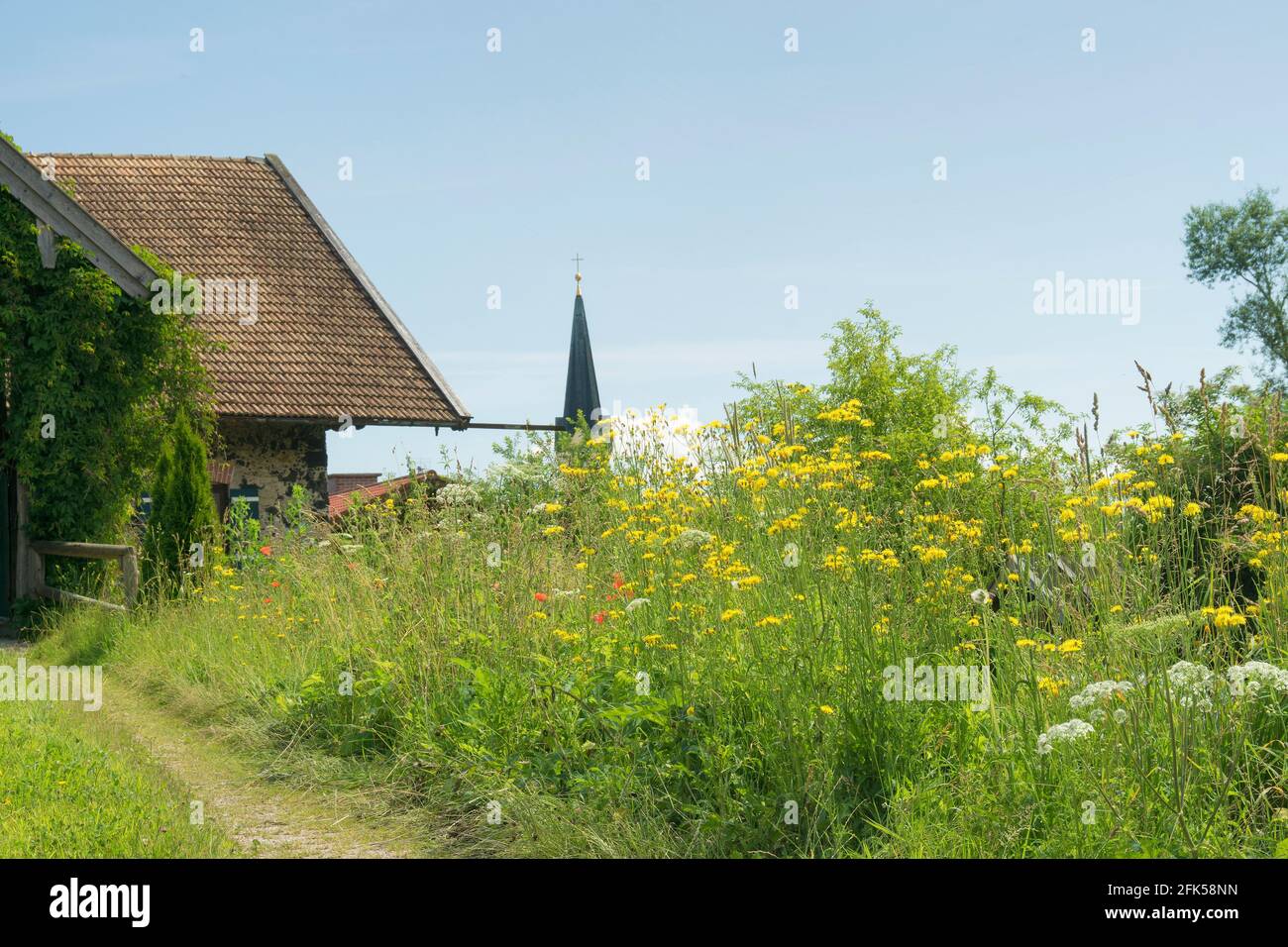 Bauernhof mit Blumenwiese und Kirchturm von Piding Stock Photo - Alamy