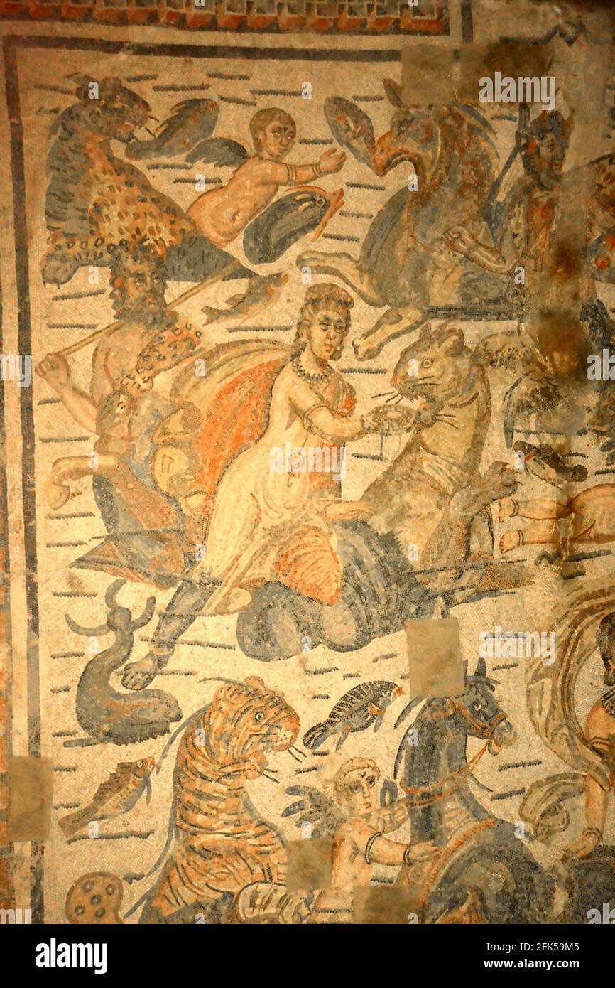 Ceramic sea creature hi-res stock photography and images - Alamy