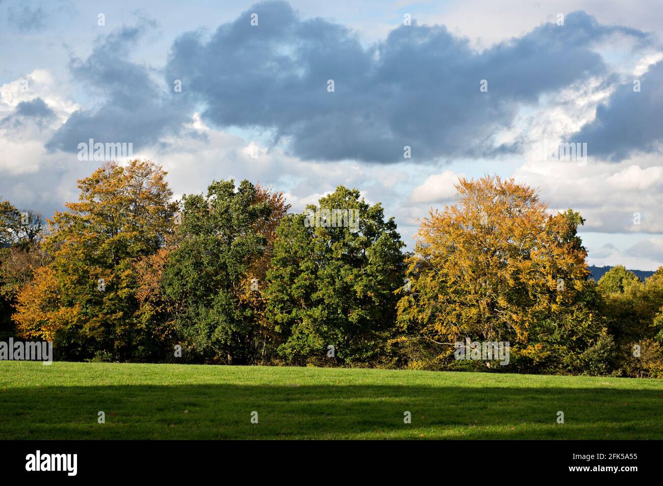 Autumn colours in Kent UK Stock Photo - Alamy