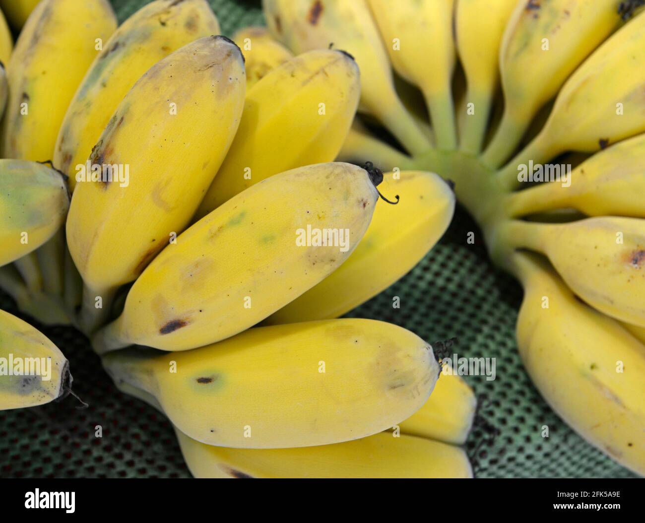 Bunch of bananas shop hi-res stock photography and images - Alamy