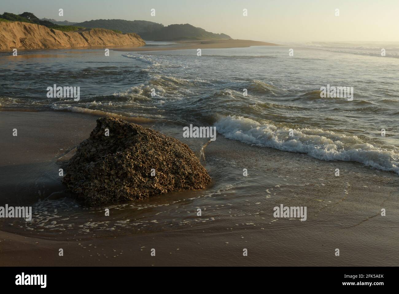 Shell midden hi-res stock photography and images - Alamy