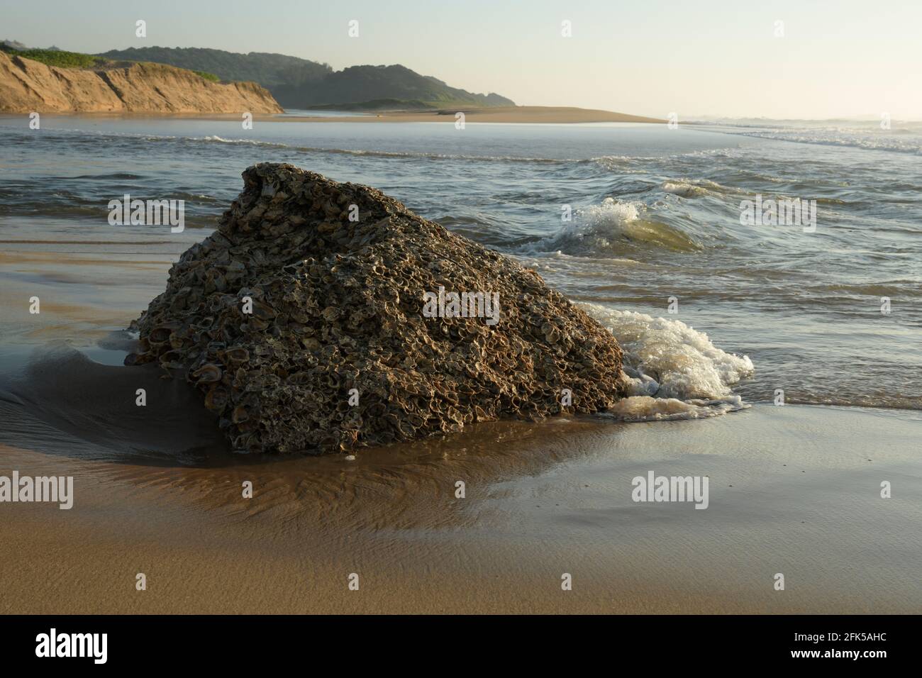 Beauty in nature, oyster shell midden, beautiful landscape, river ...