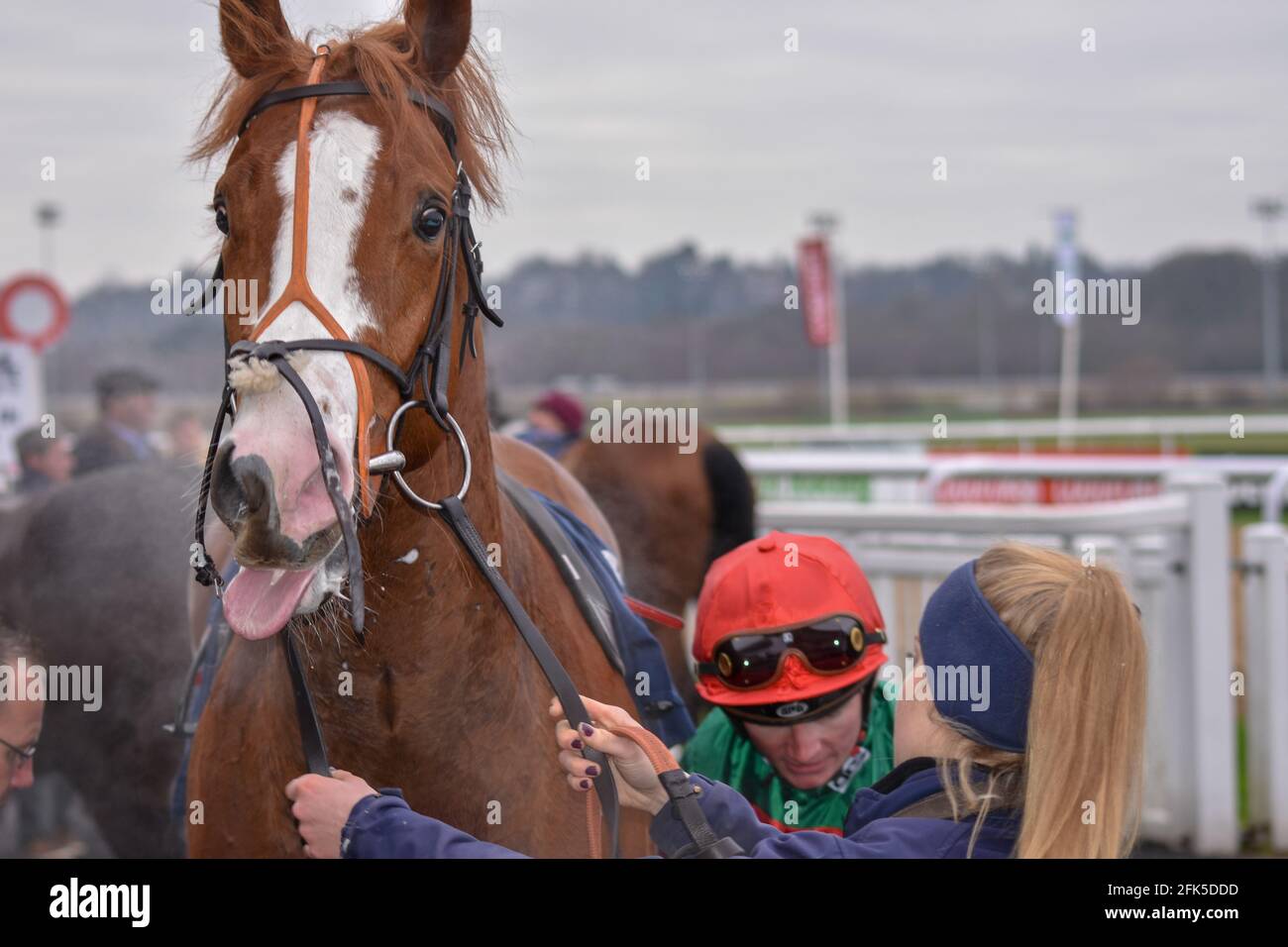 Wolverhampton Races, a day at the Horse Racing Stock Photo - Alamy