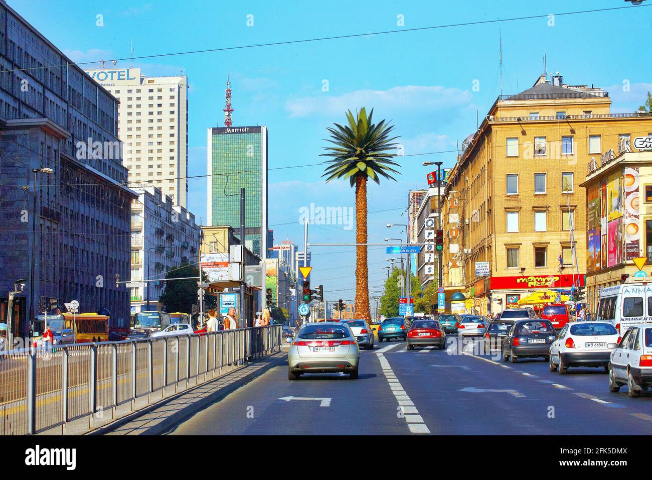 Warsaw palm hi-res stock photography and images - Alamy