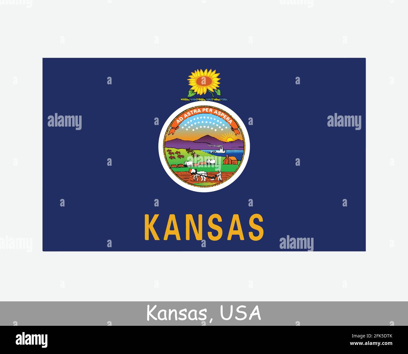 American flag state seal hi-res stock photography and images - Alamy