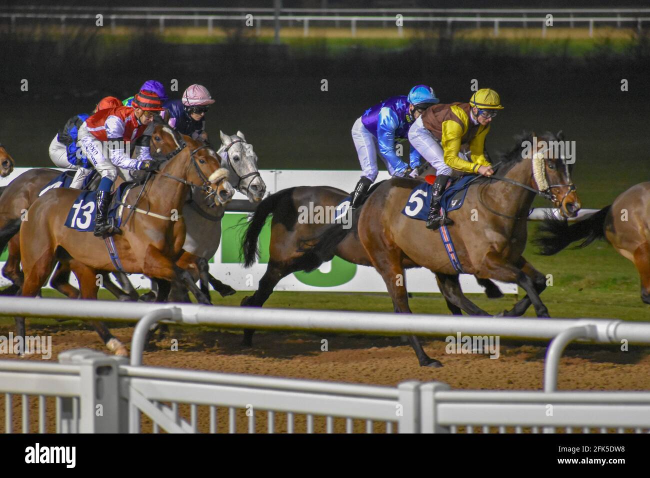 Flat Horse High Resolution Stock Photography and Images - Alamy