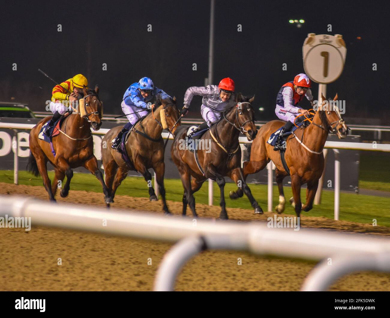 Wolverhampton Races, a day watching flat Horse Racing Stock Photo - Alamy