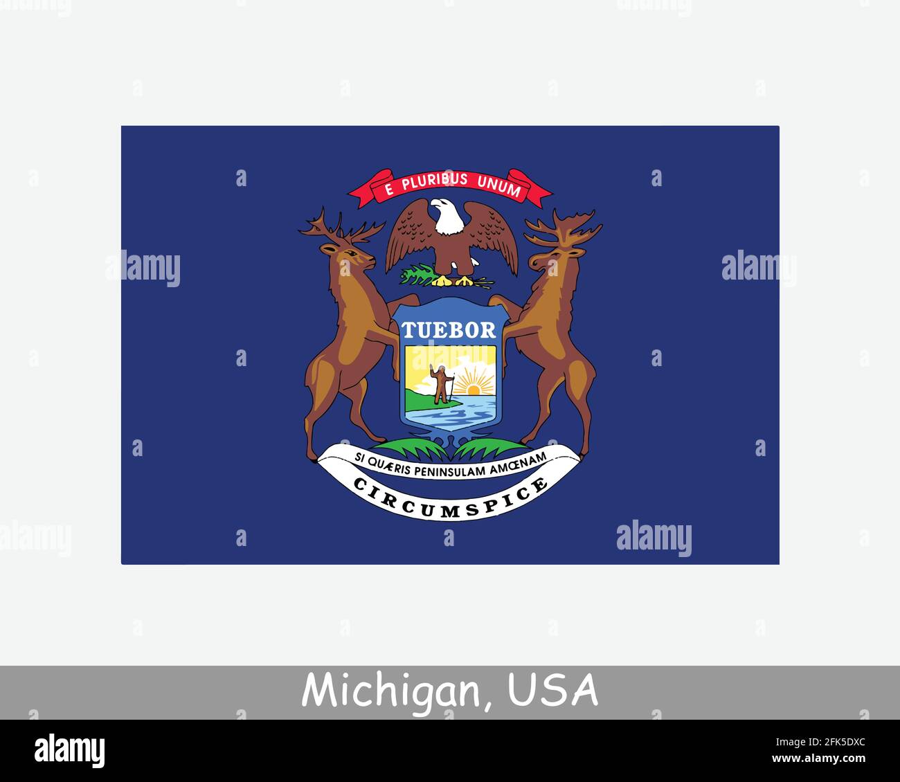Michigan USA State Flag. Flag of MI, USA isolated on white background ...