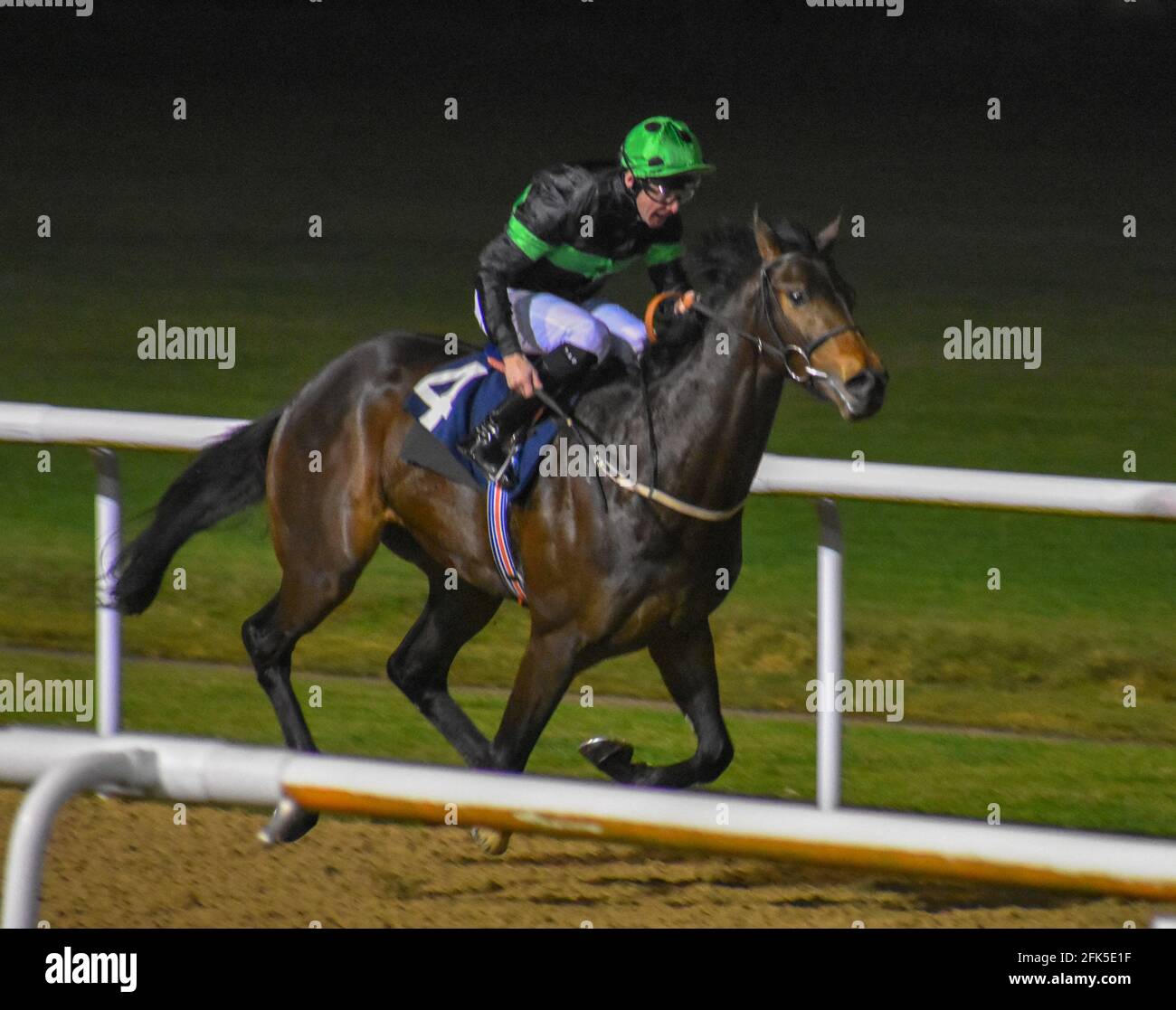 Flat racehorses hi-res stock photography and images - Alamy