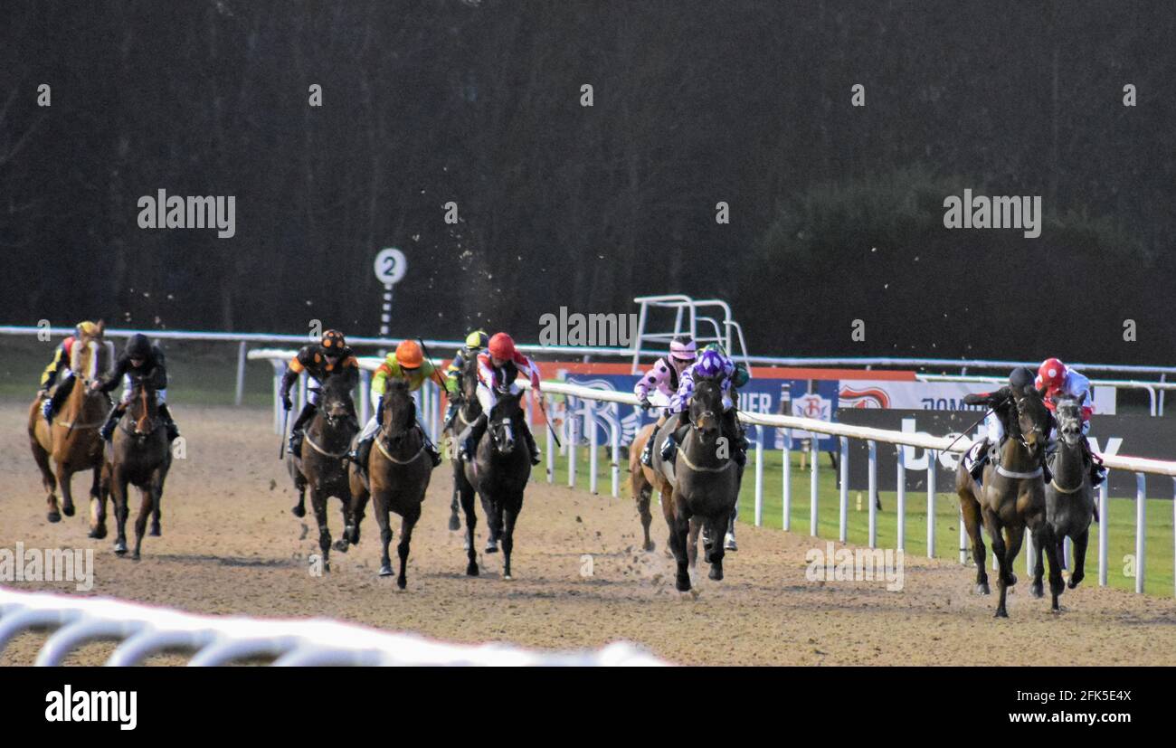 Horse racing wolverhampton racecourse hi-res stock photography and ...