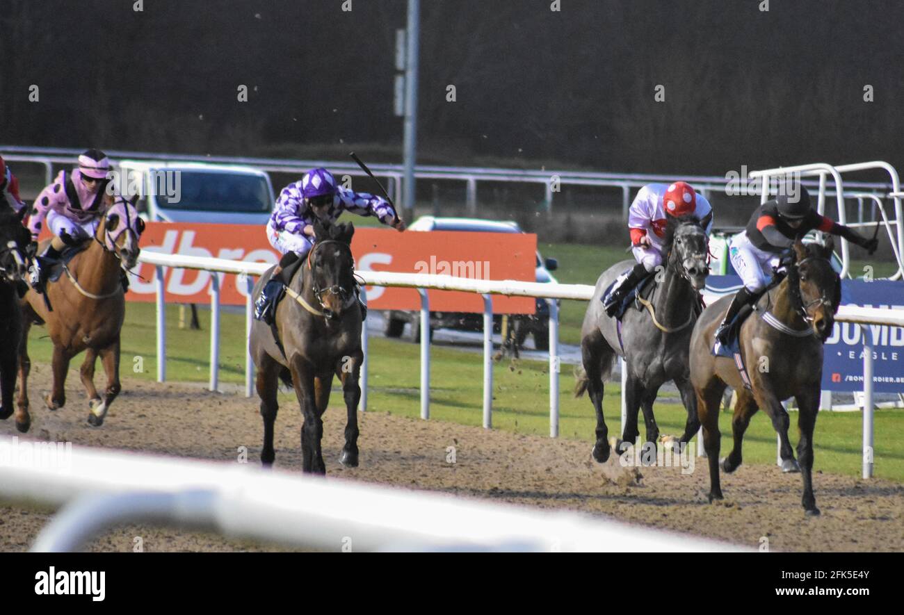 Night Horse Racing at Wolves Races, Wolverhampton Stock Photo - Alamy