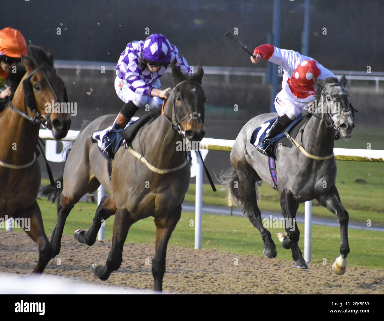 Horse racing races wolverhampton hi-res stock photography and images ...