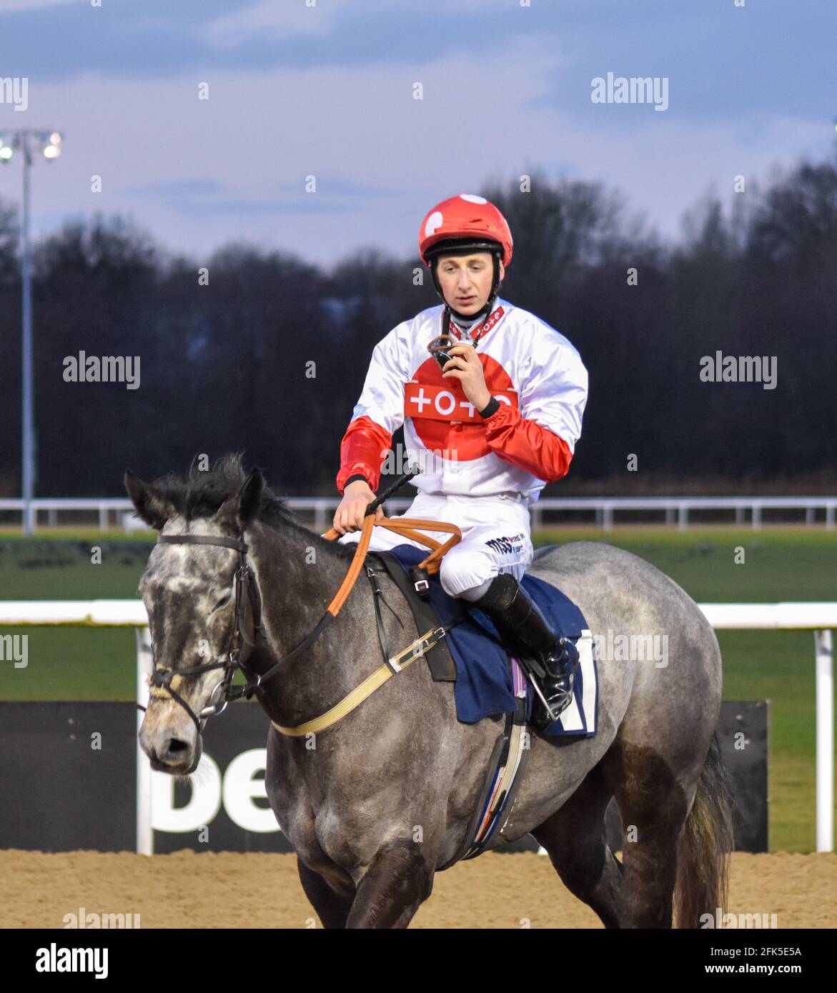 Night Horse Racing at Wolves Races, Wolverhampton Stock Photo - Alamy